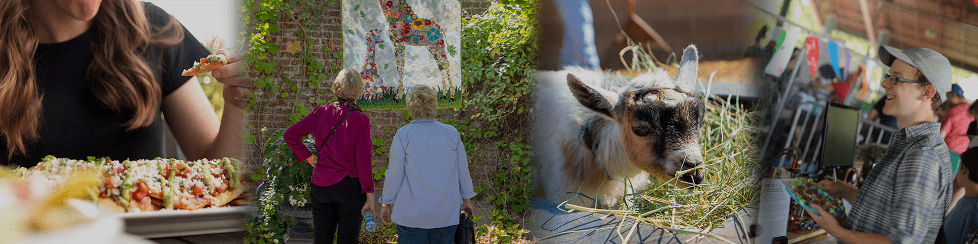 Contact Us - Thanksgiving Point