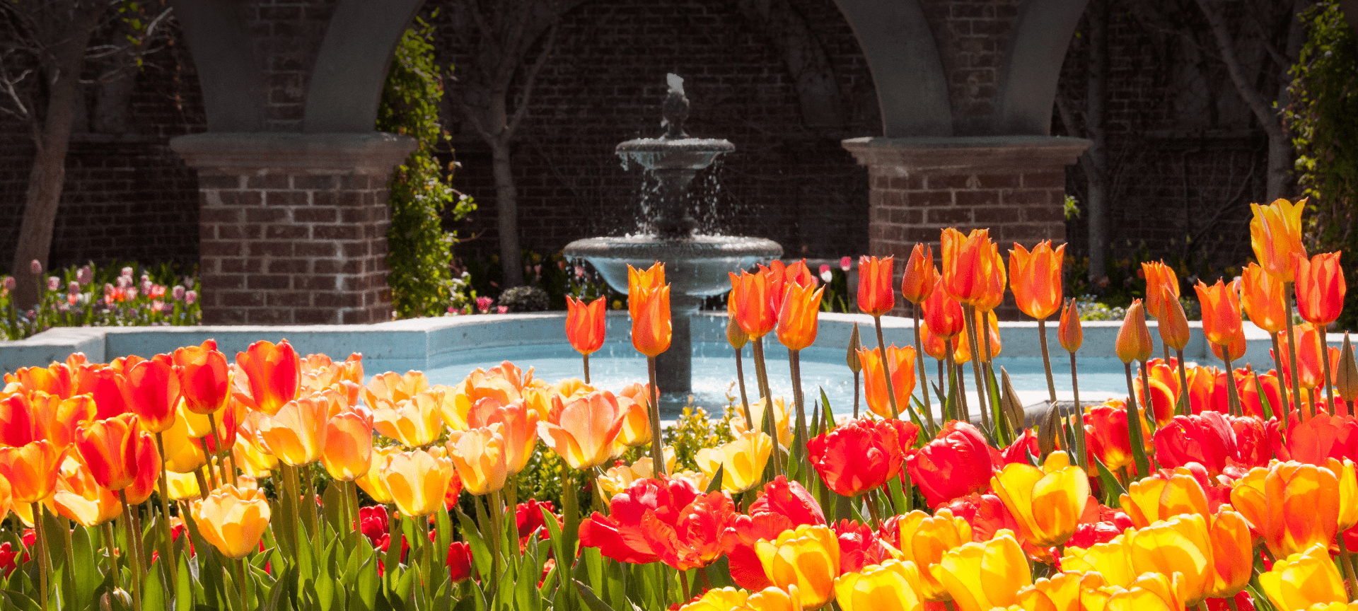 Best of State Awards Five Medals to Thanksgiving Point - Thanksgiving Point