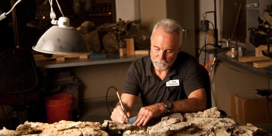 What Does a Paleontologist Do? - Thanksgiving Point