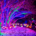 Luminaria - Thanksgiving Point