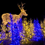 Luminaria - Thanksgiving Point