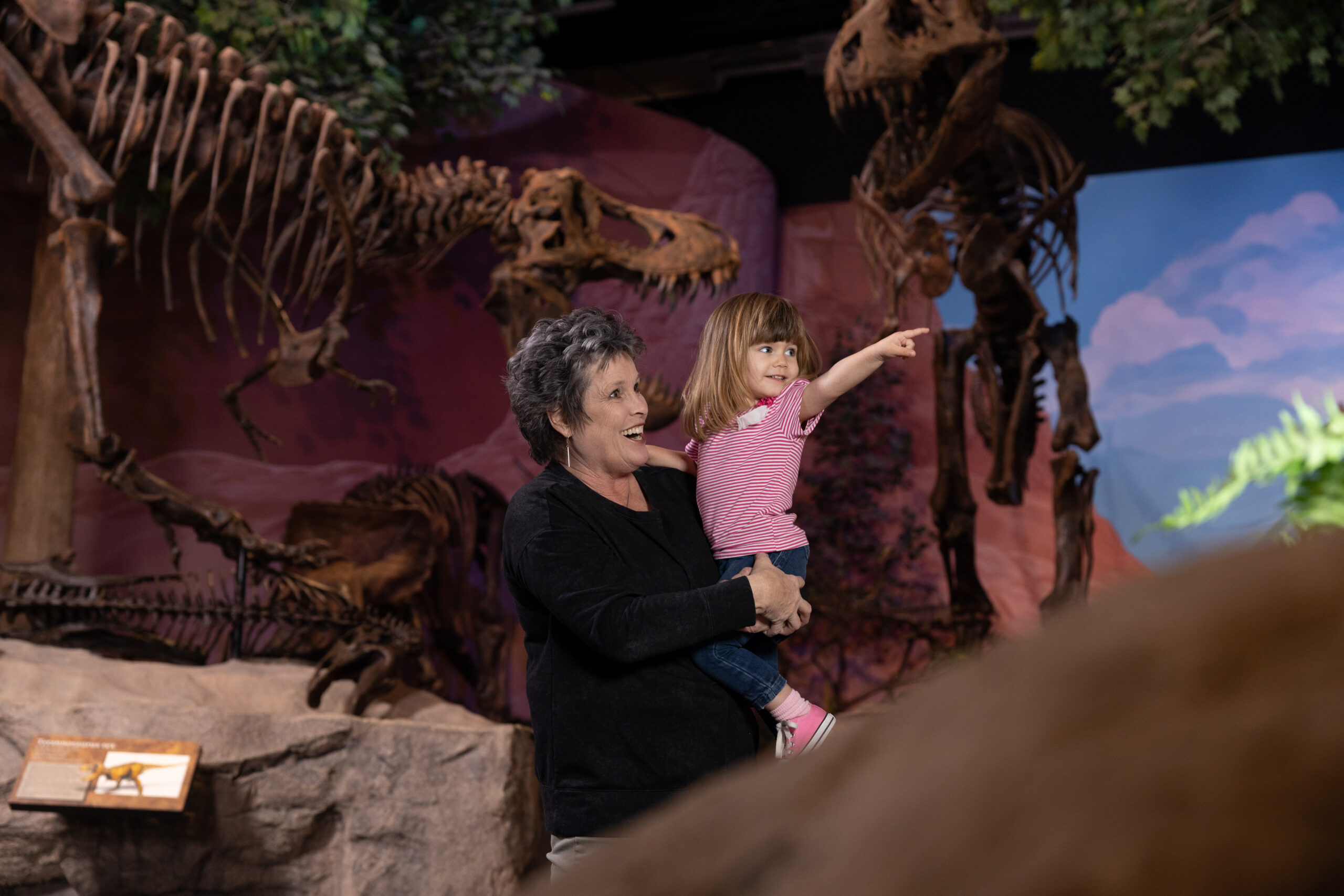 Renew Your Membership - Thanksgiving Point