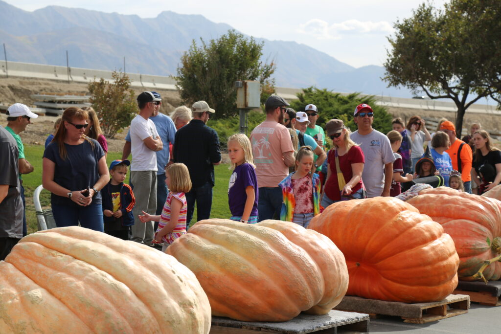 Harvest Day at Farm Country - Thanksgiving Point