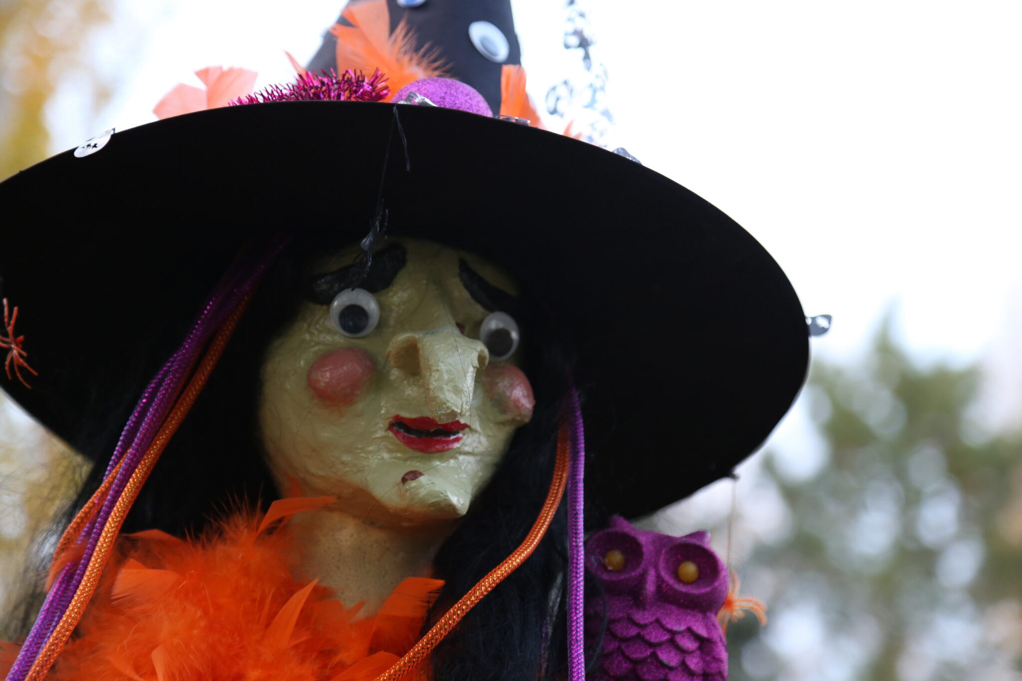 The History of Scarecrows - Thanksgiving Point