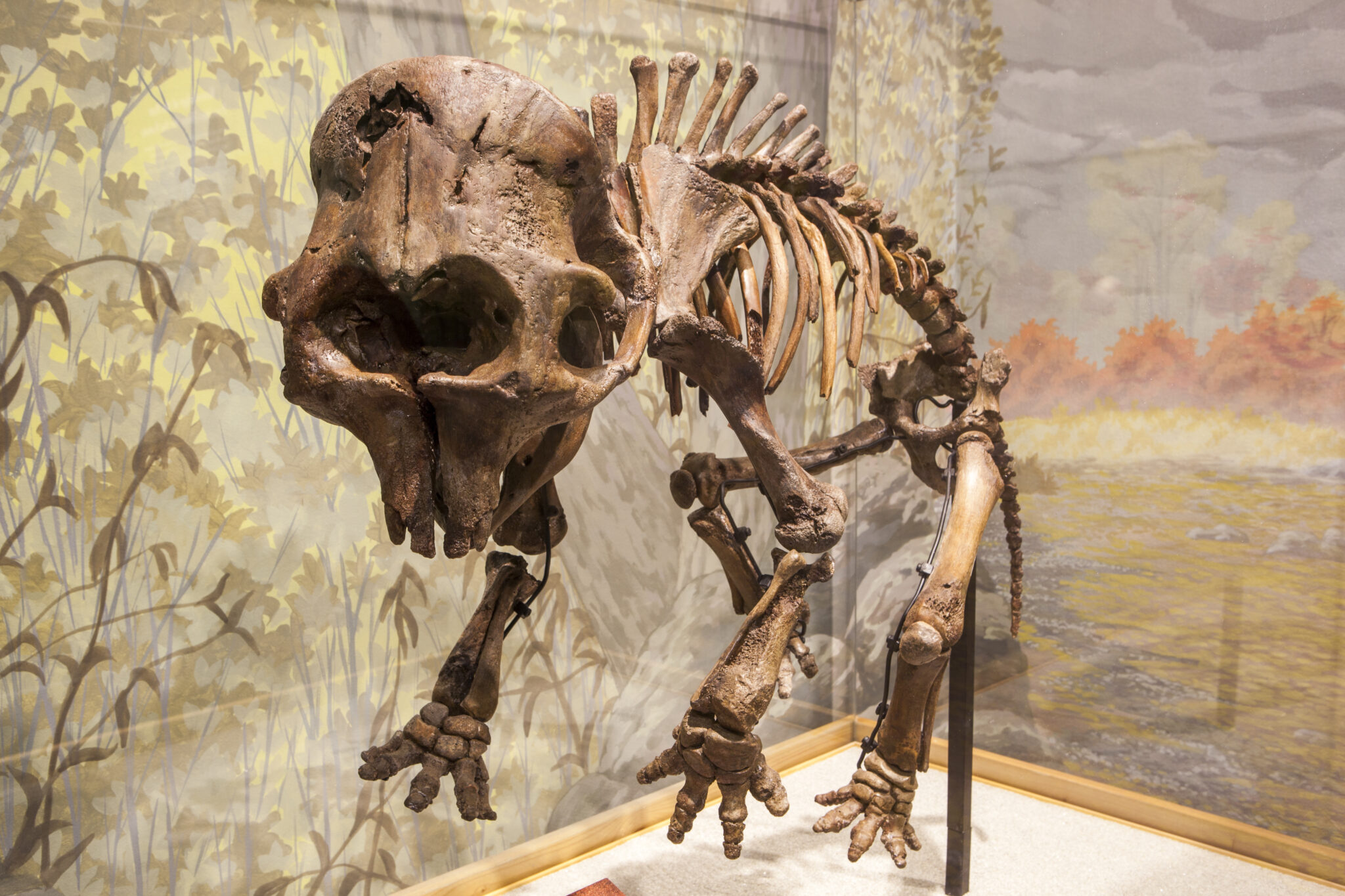 Giants of the Ice Age - Thanksgiving Point