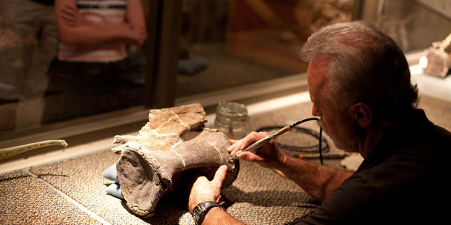 What Does a Paleontologist Do? - Thanksgiving Point