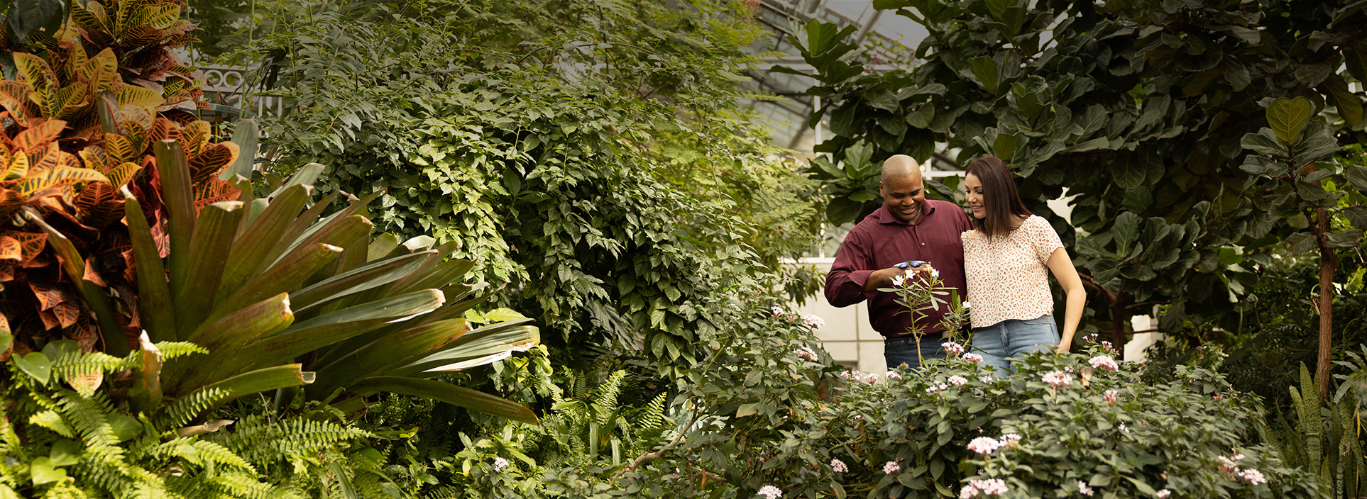 Private Events at the Butterfly Biosphere - Thanksgiving Point