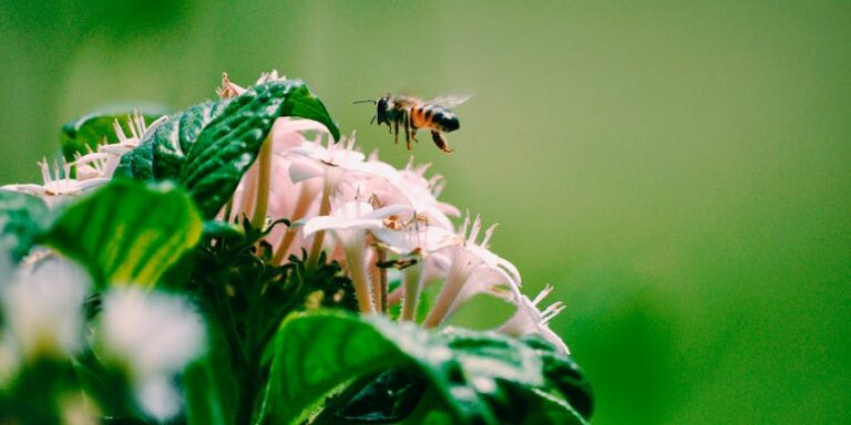 Why Pollinators Are So Important: Benefits, Pollination, and Our Food ...