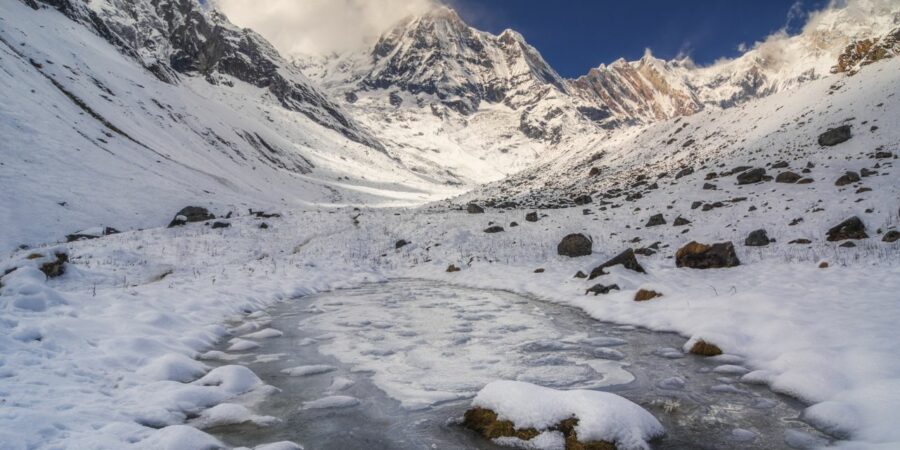 7 Cool Facts About the Ice Age: Discover the Frozen Past - Thanksgiving ...