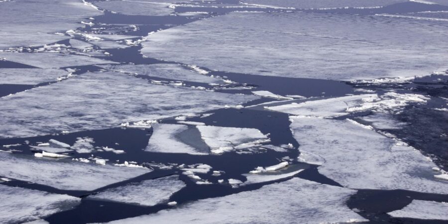 7 Cool Facts About the Ice Age: Discover the Frozen Past - Thanksgiving ...
