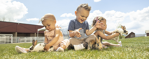 The Perks of a Thanksgiving Point Membership - Thanksgiving Point