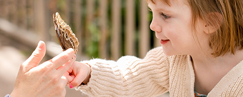 Harvest Restaurant - Thanksgiving Point