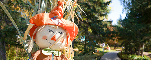 The History of Scarecrows - Thanksgiving Point