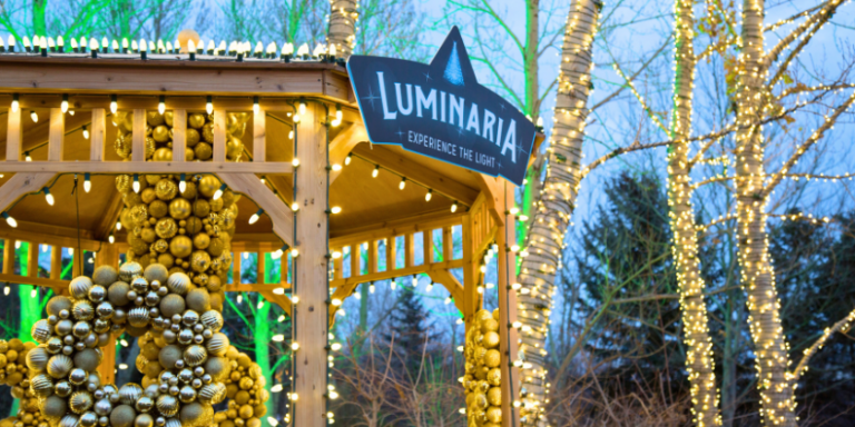 Luminaria Pre-Sale: Utah’s Best Lights - Thanksgiving Point